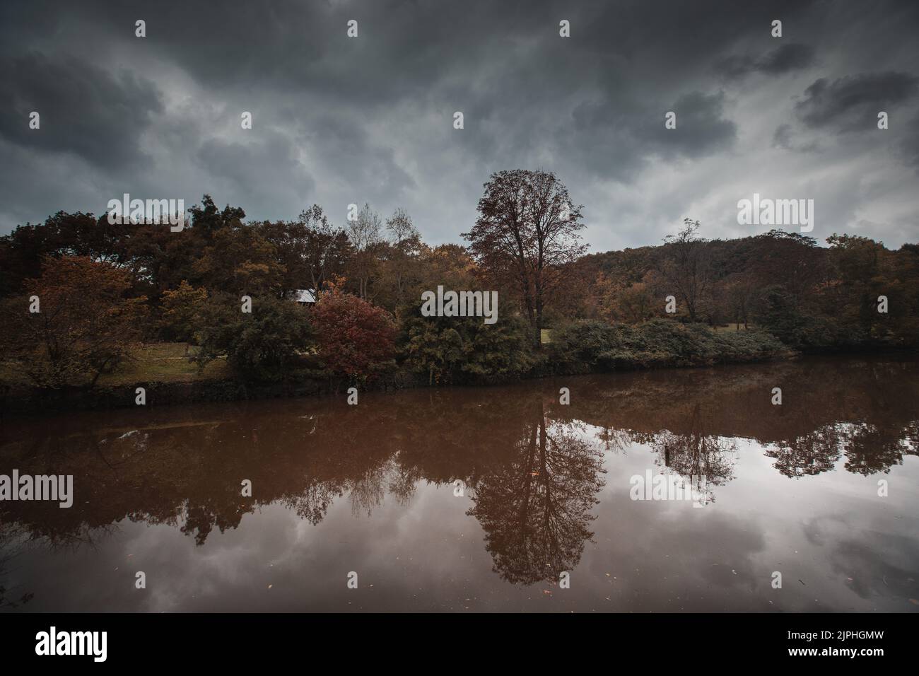 The shallow pond surrounded by colorful autumn trees in a botanical ...