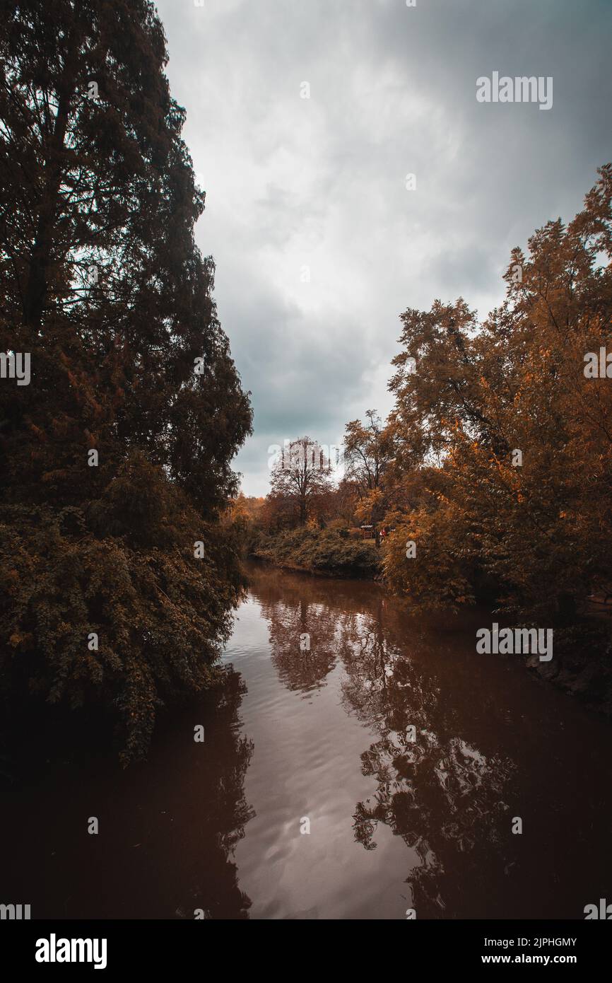 The shallow pond surrounded by colorful autumn trees in a botanical ...