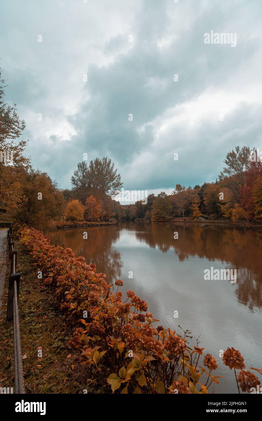 The shallow pond surrounded by colorful autumn trees in a botanical ...