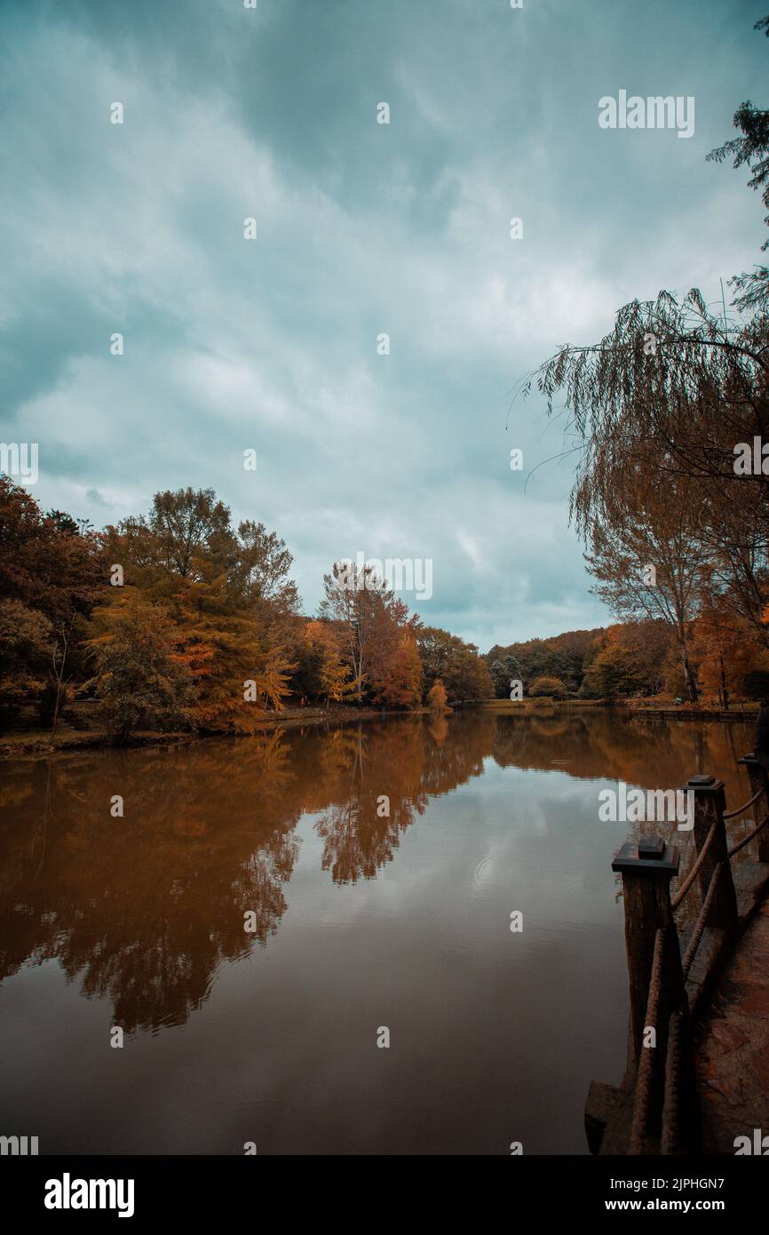 The shallow pond surrounded by colorful autumn trees in a botanical ...