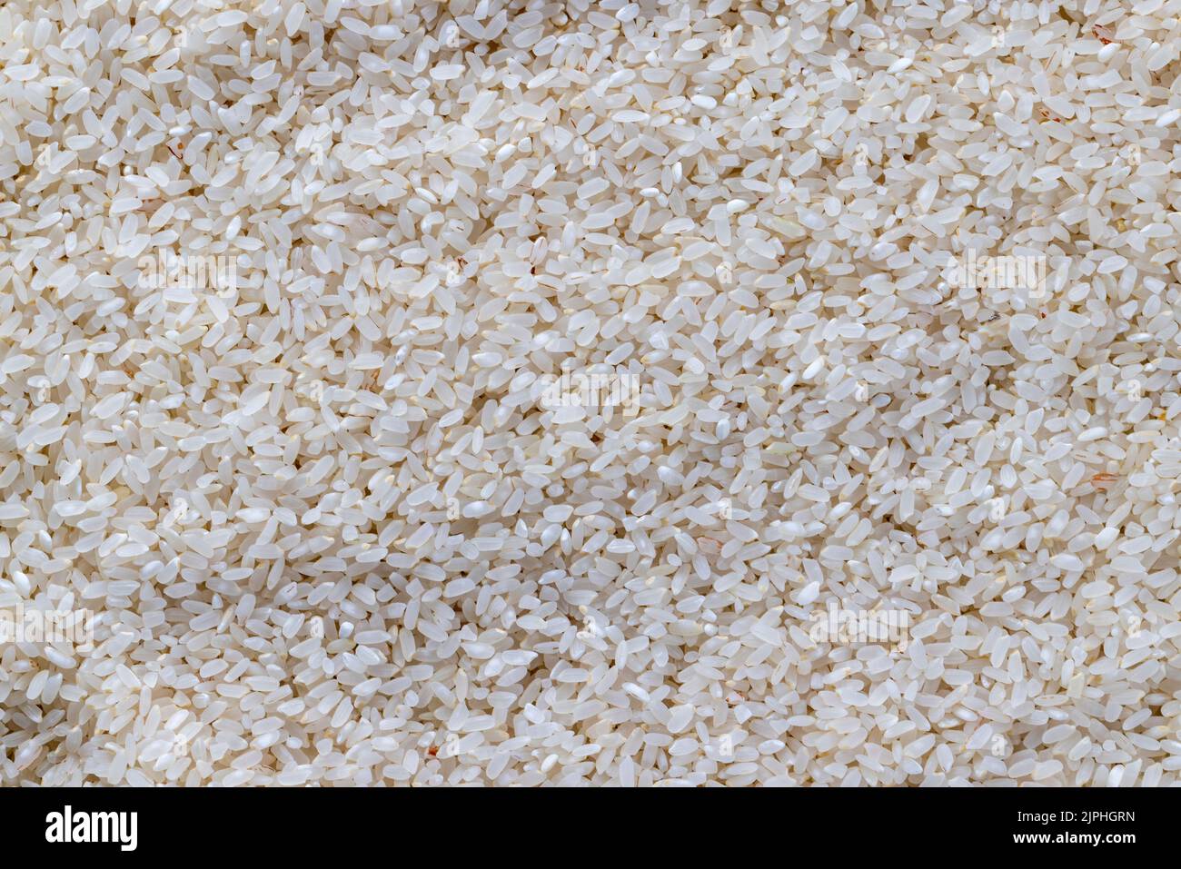 a pile of scattered white rice on the kitchen table, white uncooked ...