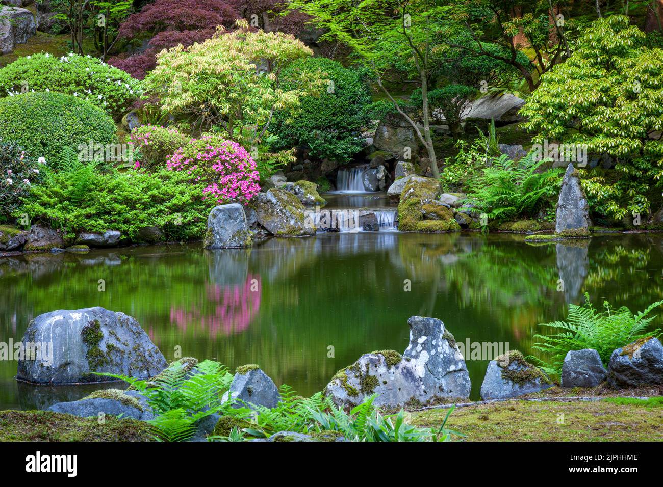 Pond and waterfall in Japanese Garden, Portland, Oregon, USA Stock ...