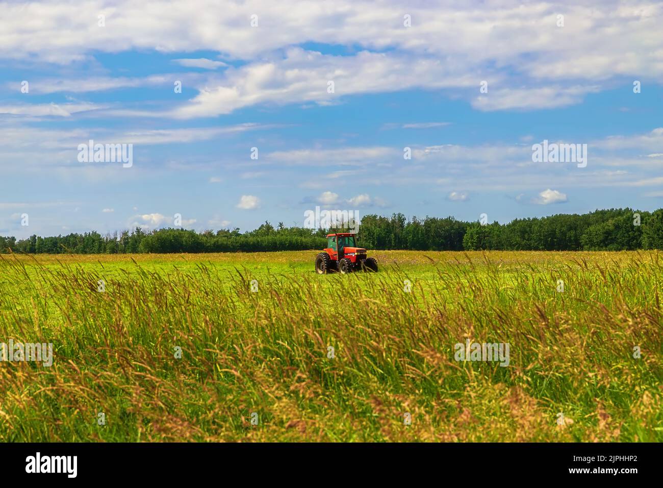 Alberta rural field hi-res stock photography and images - Alamy