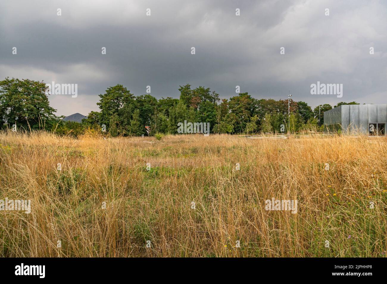 The Louvre-Lens recalls its passed as a mining pit of charcoal also by ...