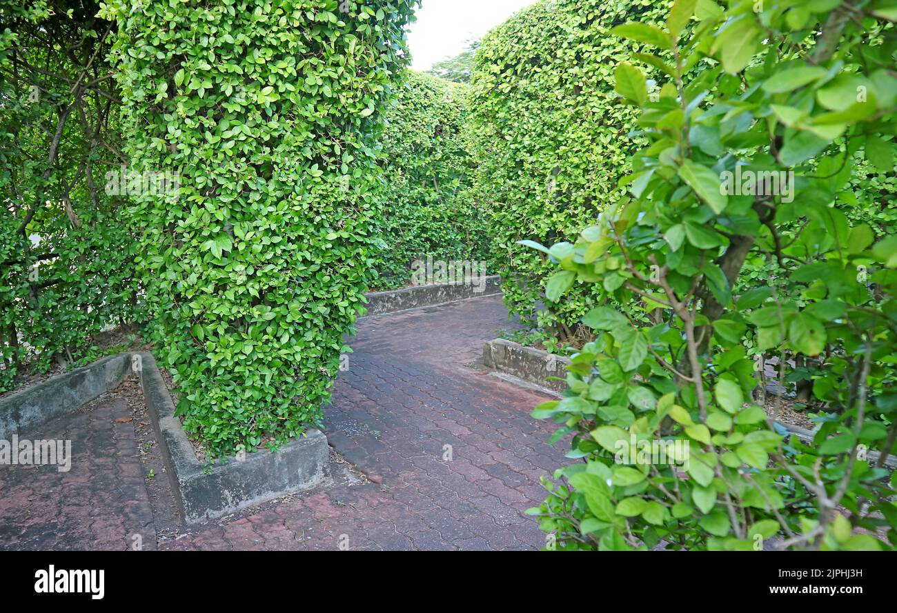 Labyrinth maze empty space hi-res stock photography and images - Alamy