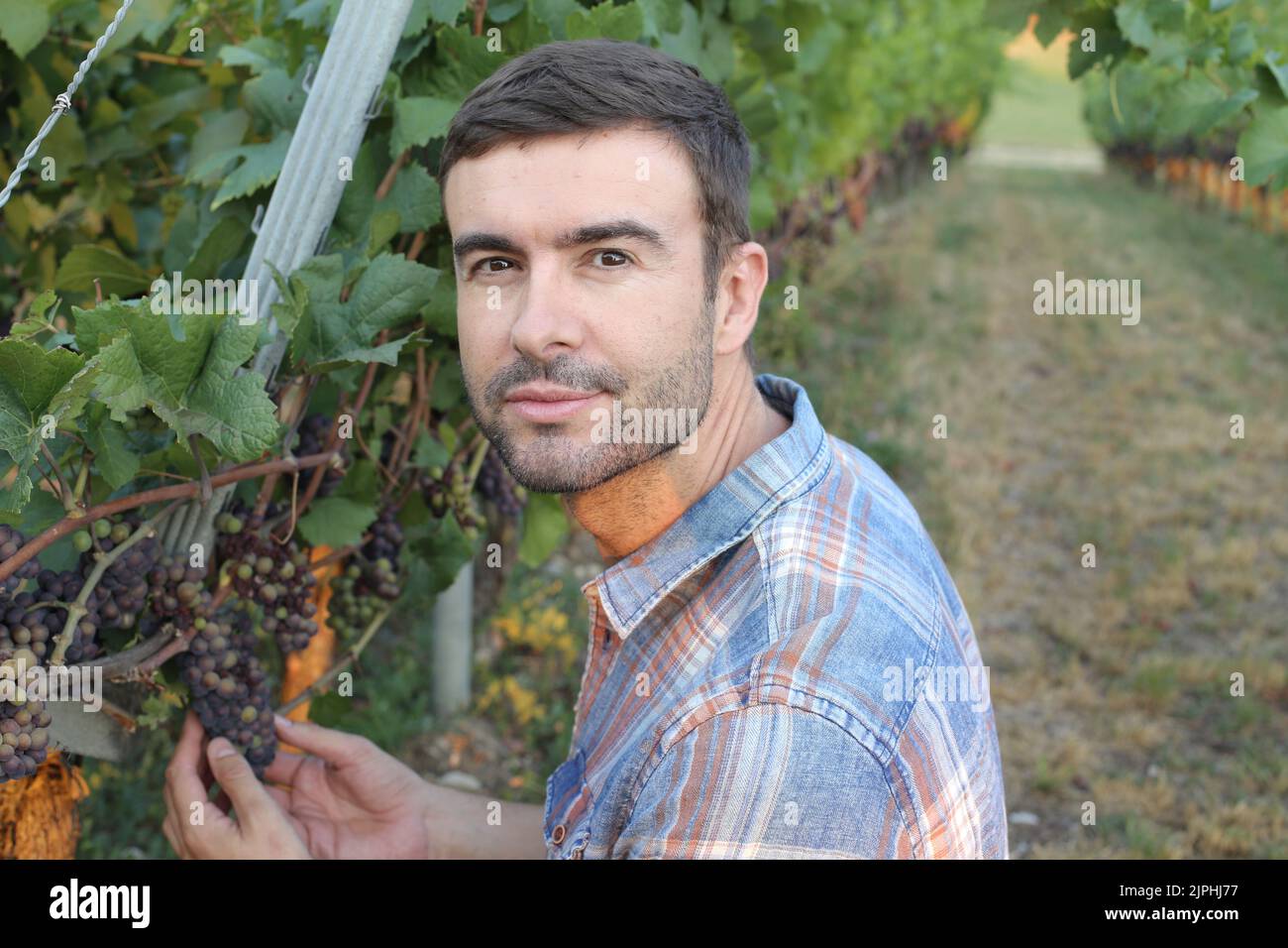 Red wine farmer hi-res stock photography and images - Alamy