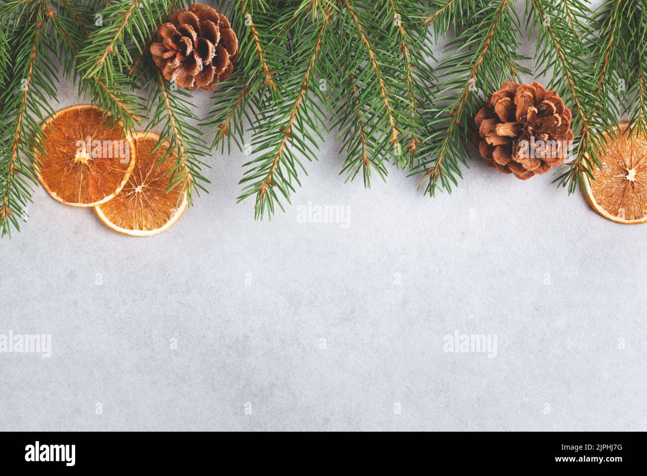Winter natural decor on grey background. Spruce branch, pine cones and ...