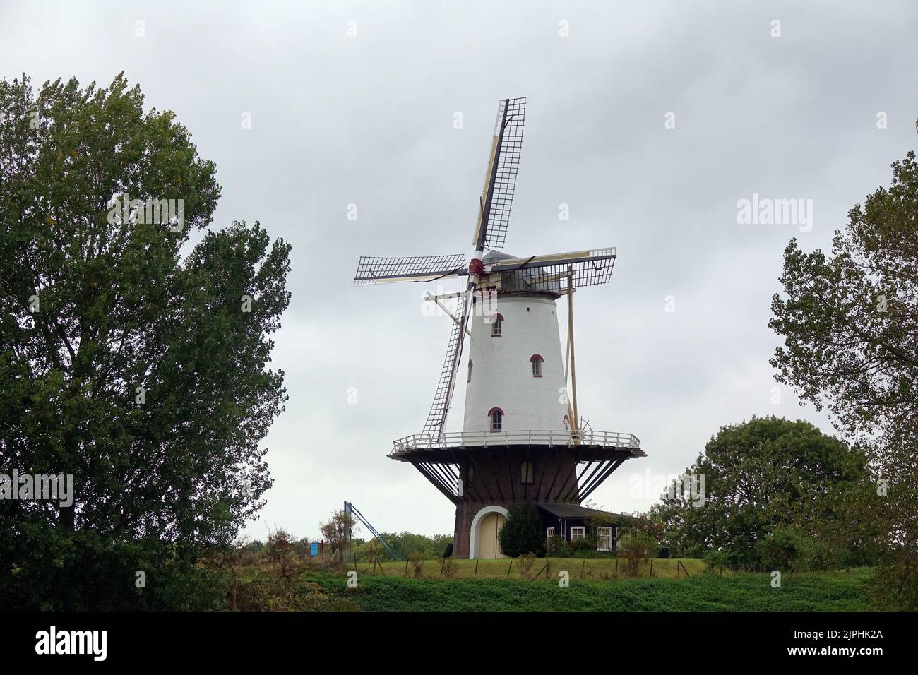 De koe hi-res stock photography and images - Alamy