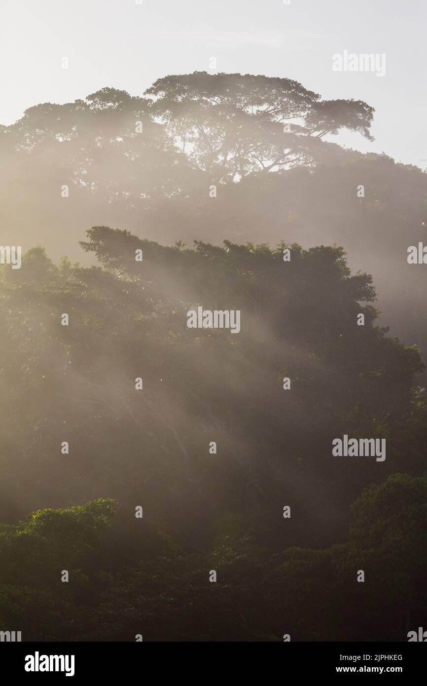 Wet humid lowland hi-res stock photography and images - Alamy