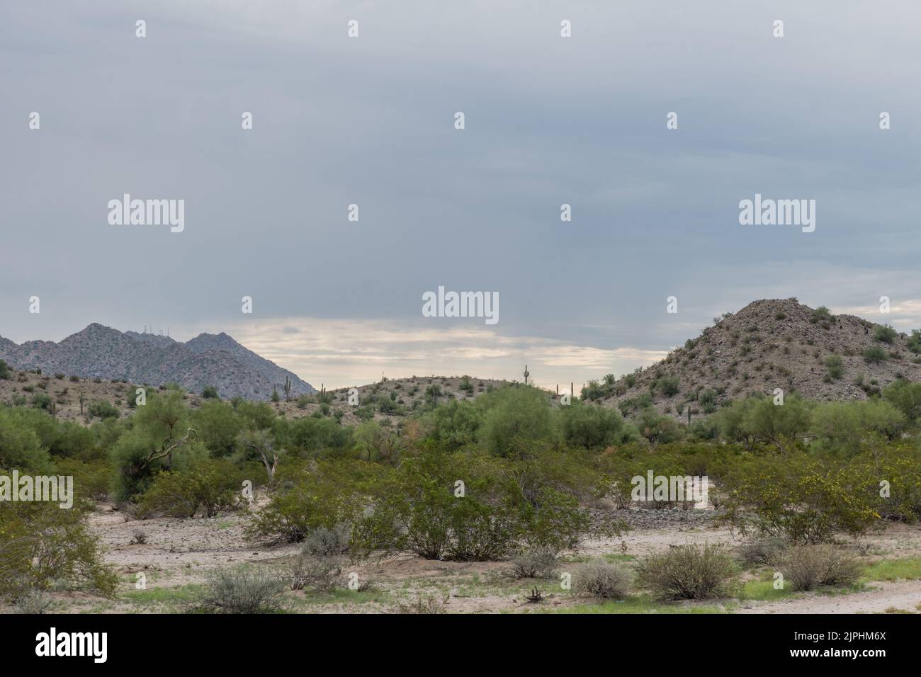 Scenic southern Arizona vista in early morning under dramatic monsoonal ...
