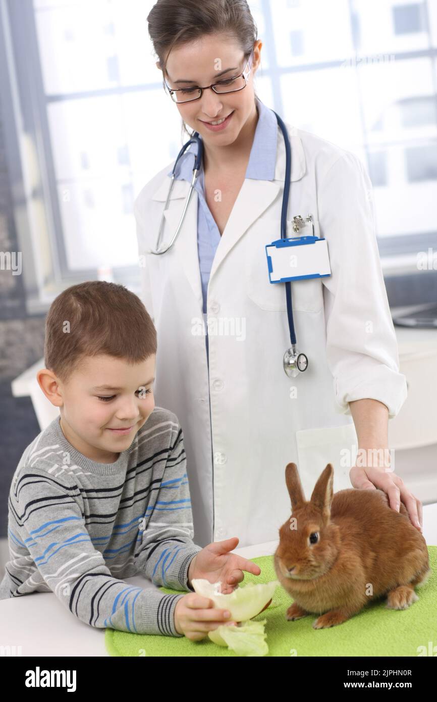 child, feeding, rabbit, veterinarian, children, childs, kid, kids, feed ...
