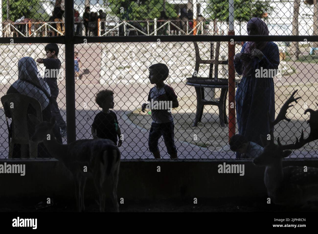 August 18, 2022, Gaza City, The Gaza Strip, Palestine: A zoo in Gaza ...