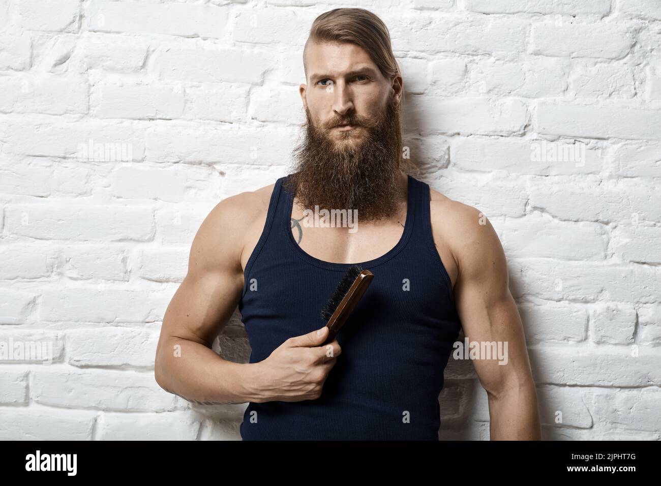 brush, portrait, beard, hipster, brushs, portraits, beards Stock Photo ...