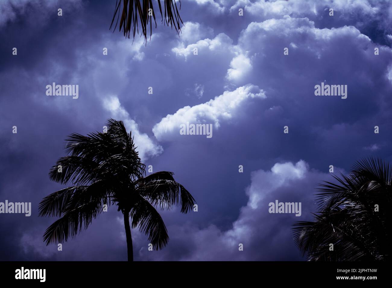 Puerto rico windy hi-res stock photography and images - Alamy