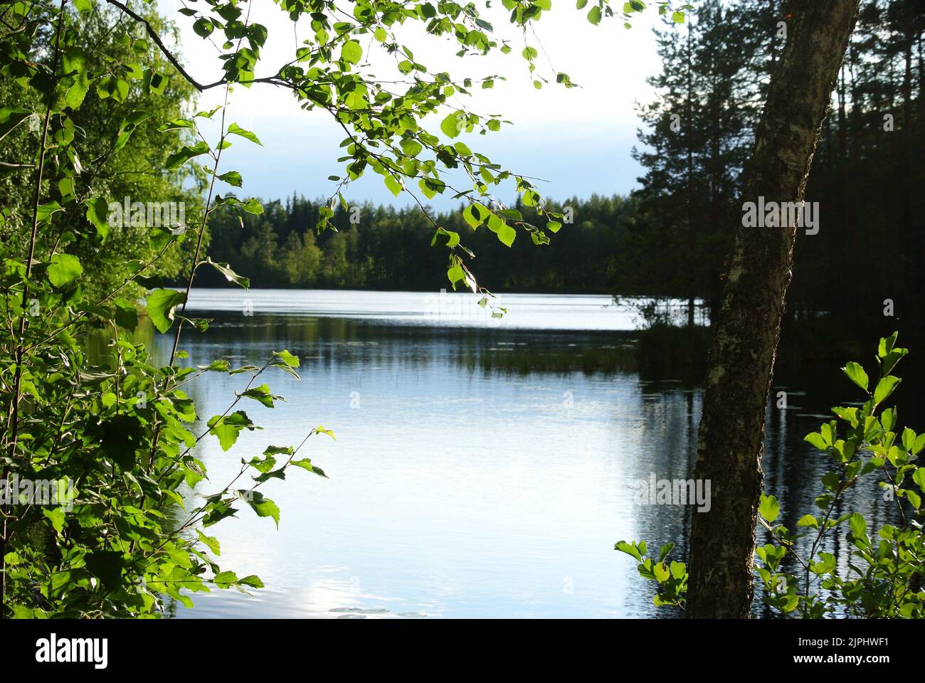 9lives finland hi-res stock photography and images - Alamy