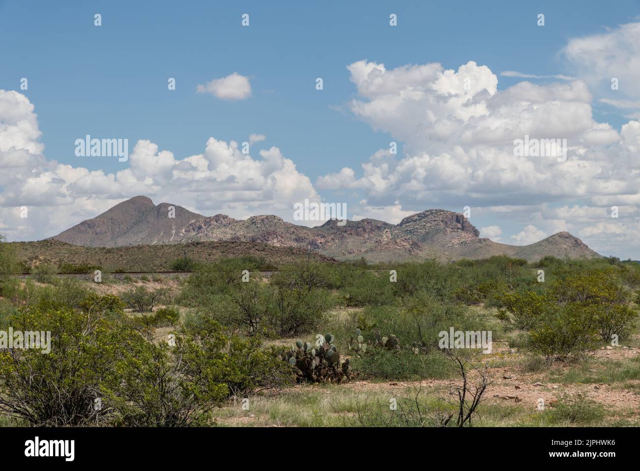 Scenic western New Mexico vista during the monsoon season with lots of ...