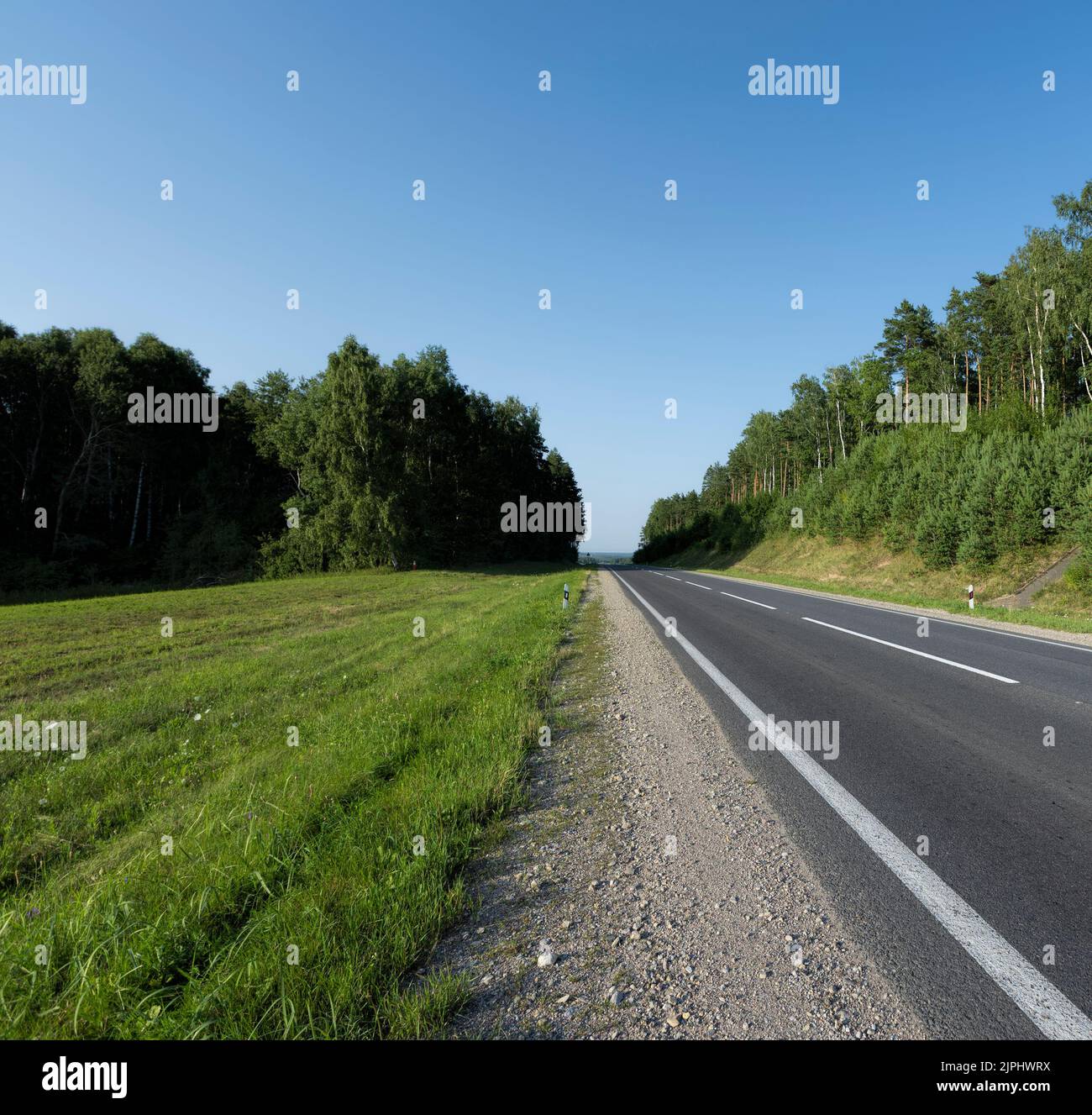 Paved highway with plants on the side of the road, green trees in the ...