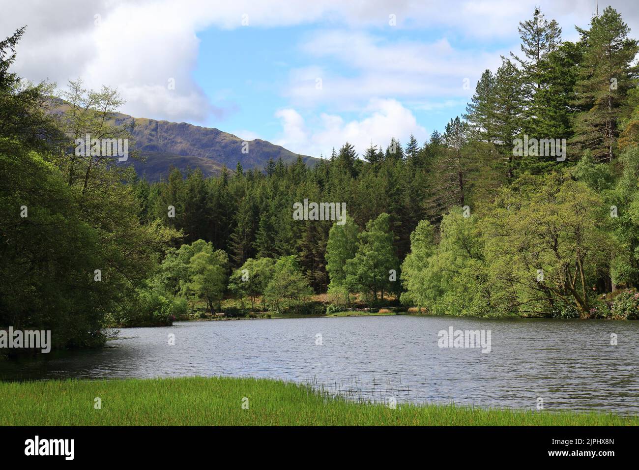 Glencoe Lochan located just north of Glencoe village in the Scottish ...