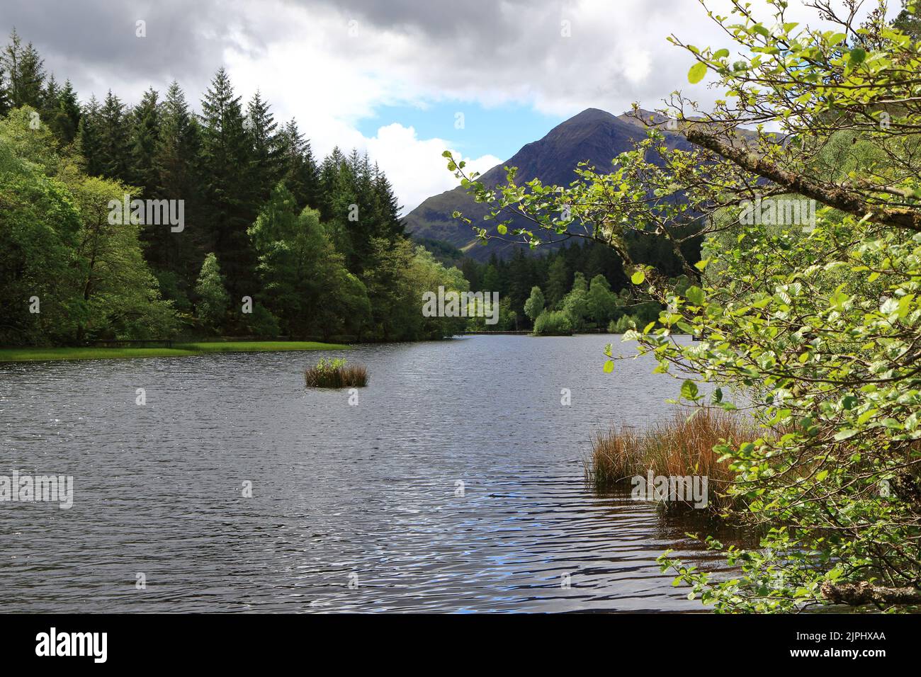 Glencoe Lochan located just north of Glencoe village in the Scottish ...
