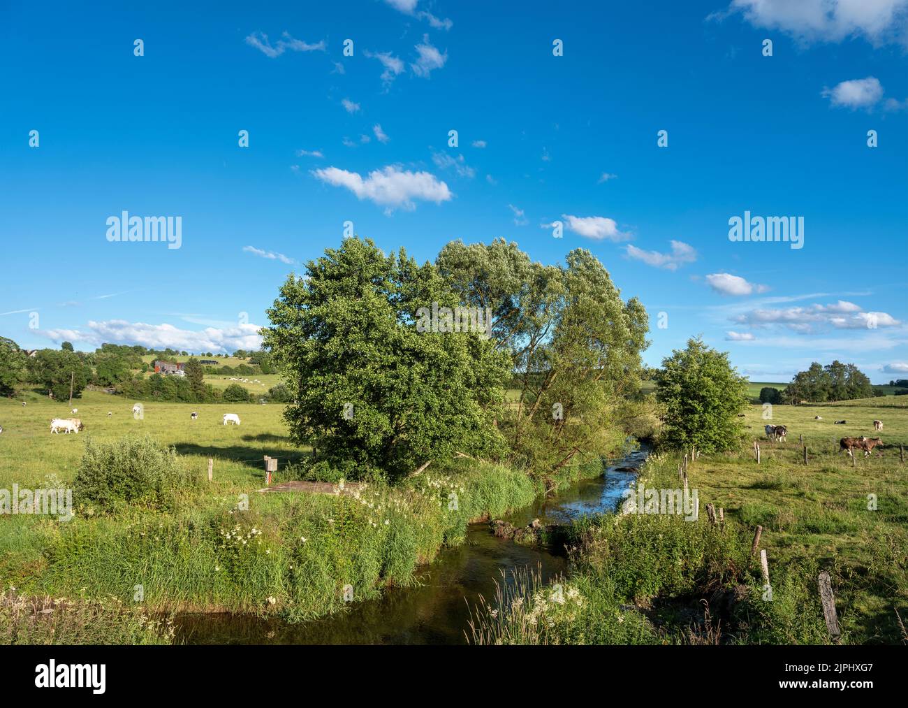 river ourthe occidentale in belgian ardennes countryside in summer ...