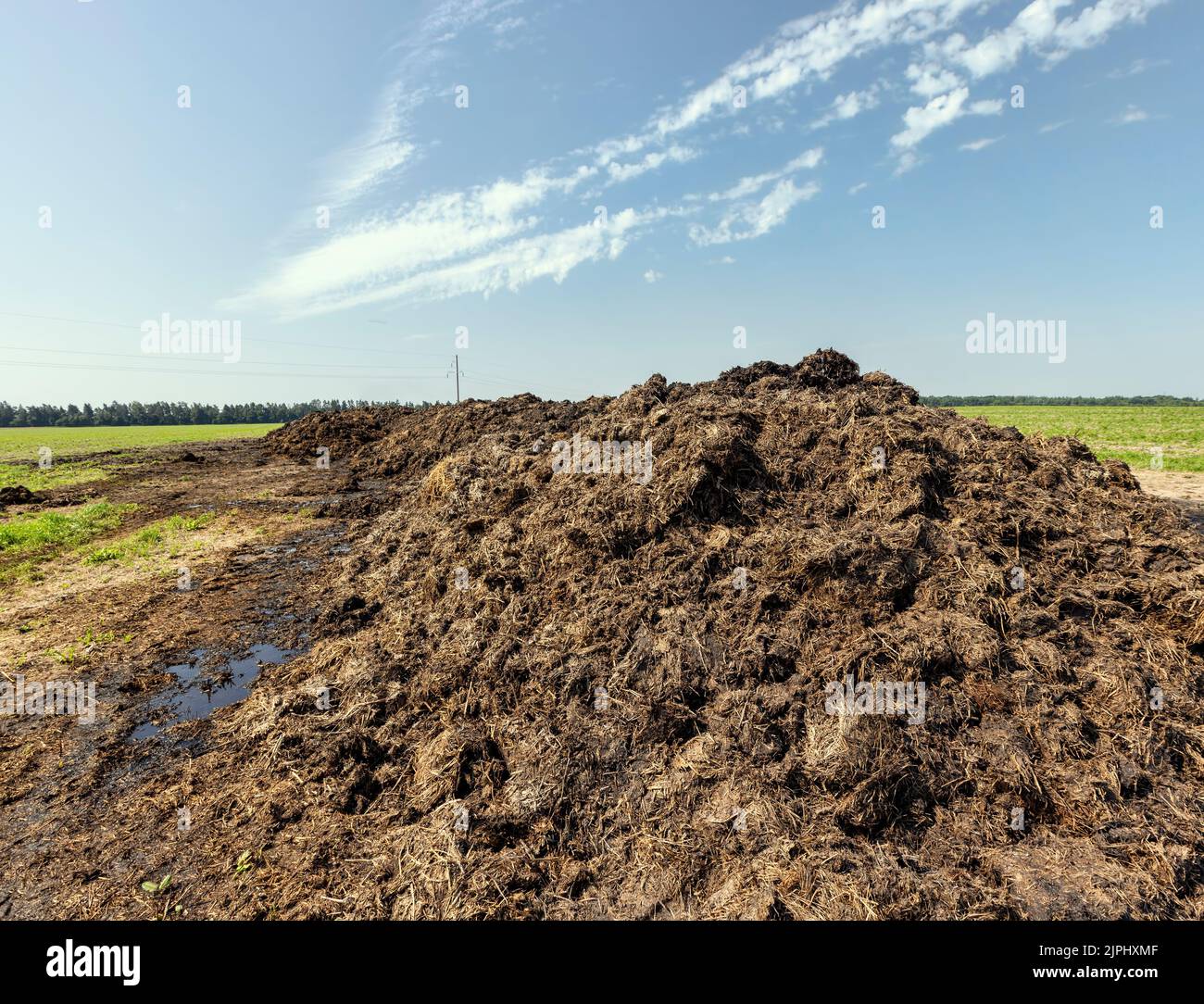 Manure for fertilizing the soil in the field, natural fertilizers ...