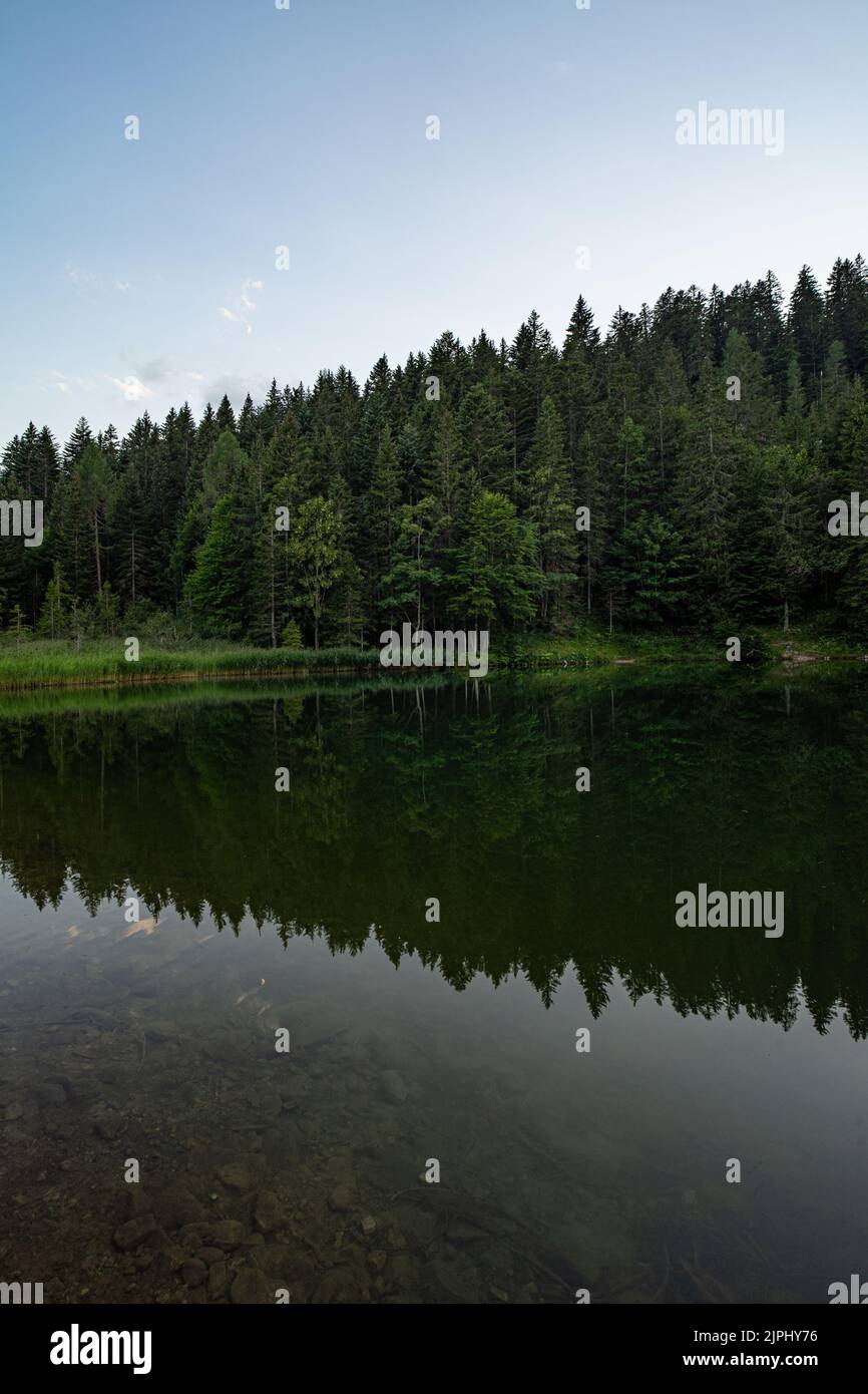 A vertical shot of an alpine lake surrounded by green spruce trees ...