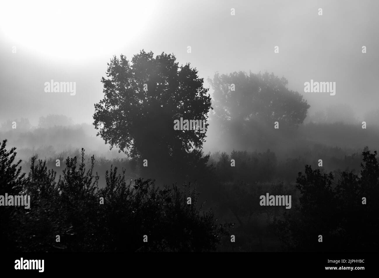 Haunting texture Black and White Stock Photos & Images - Alamy