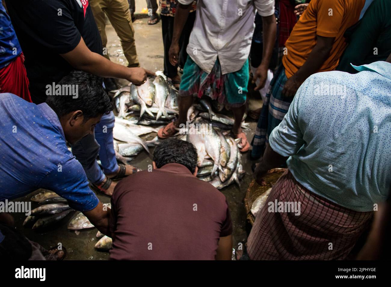 Vendors selling Hilsa fish at the Chandpur wholesale fish market on ...
