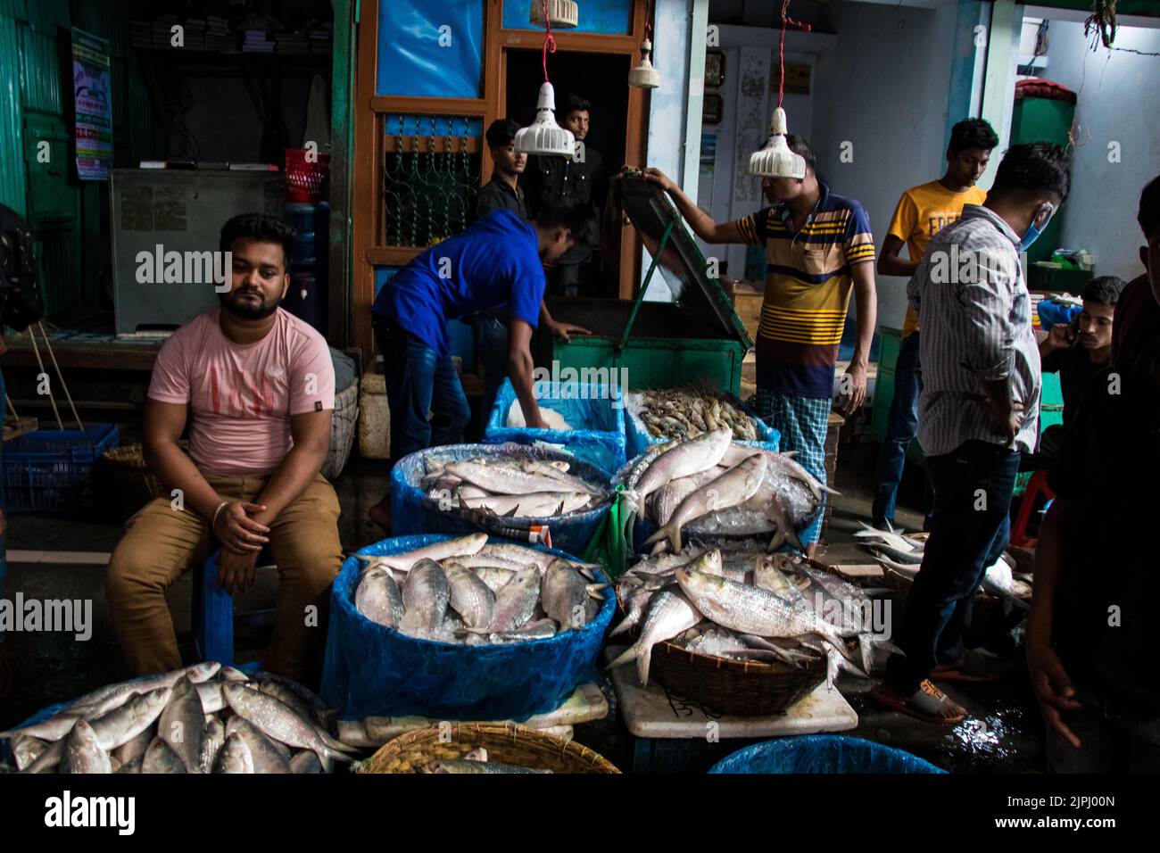 Vendors selling Hilsa fish at the Chandpur wholesale fish market on ...