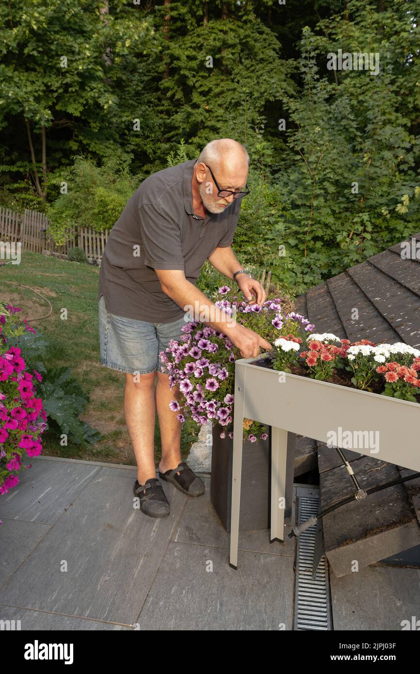 Old man gardening hi-res stock photography and images - Alamy