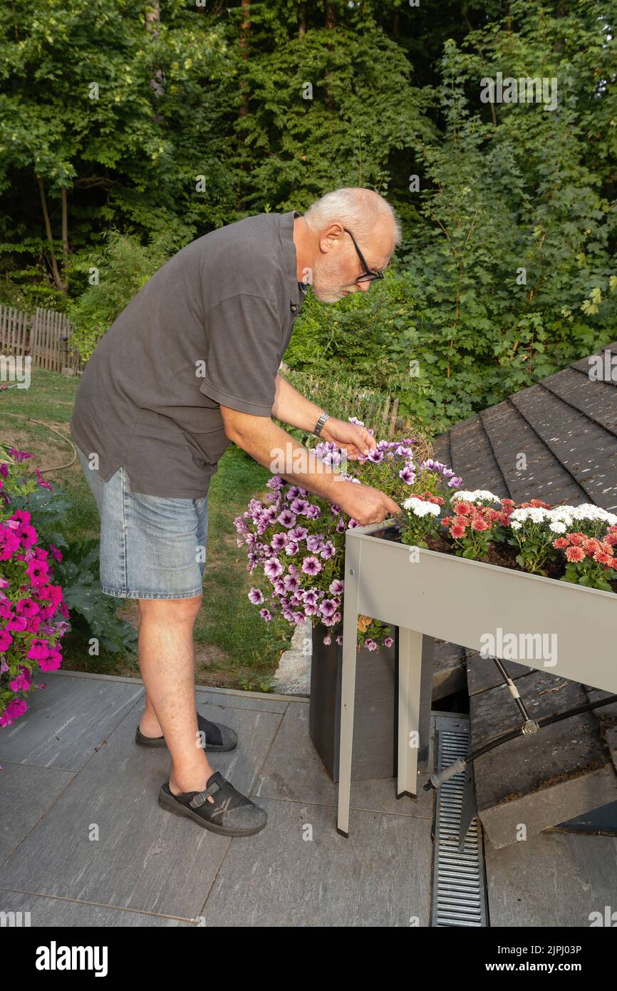 Old man garden hi-res stock photography and images - Alamy