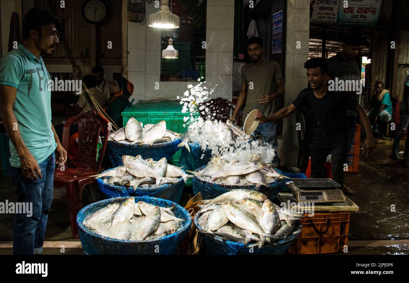 Vendors selling Hilsa fish at the Chandpur wholesale fish market on ...