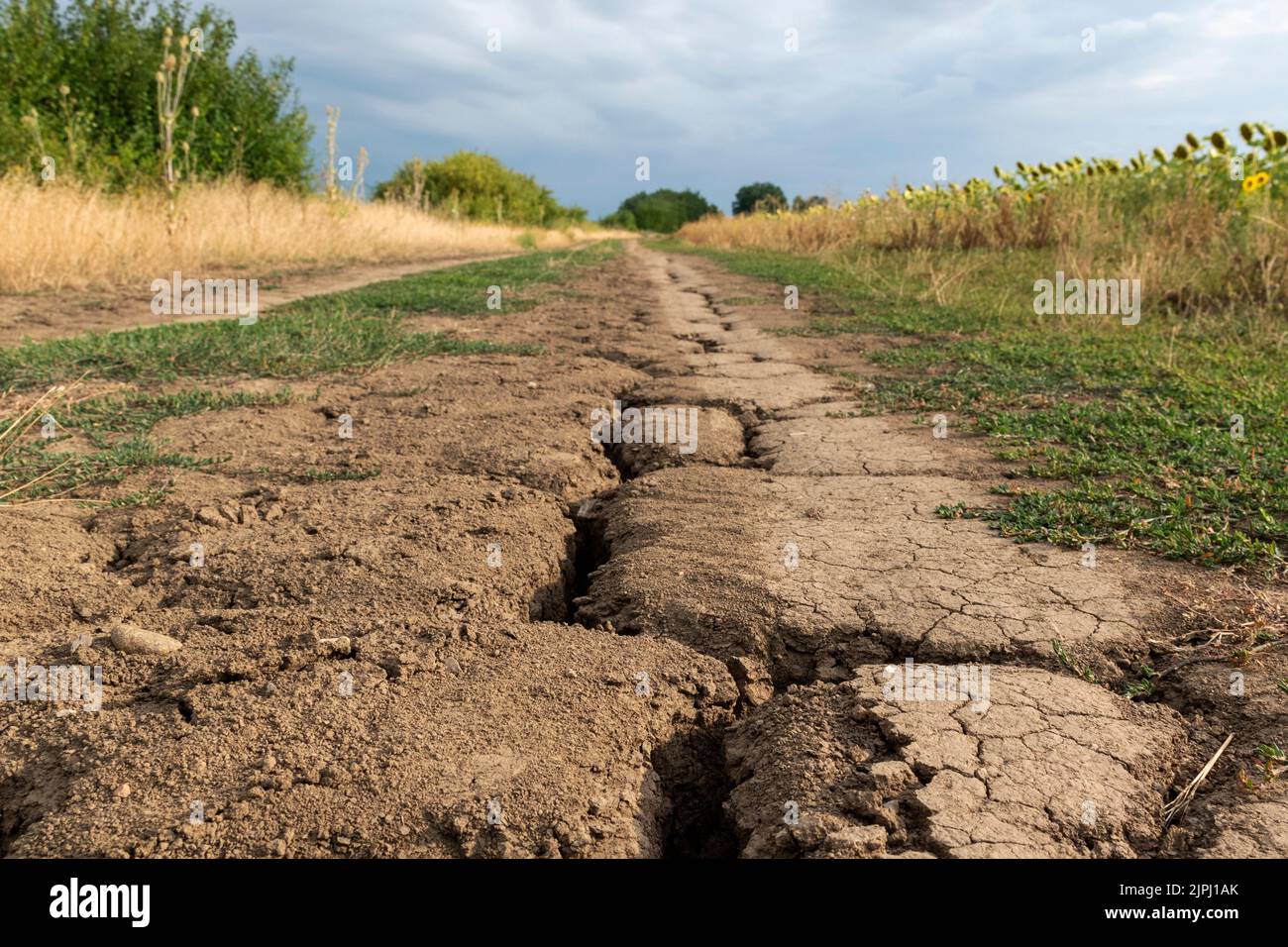 Dry cracked soil Stock Photo - Alamy