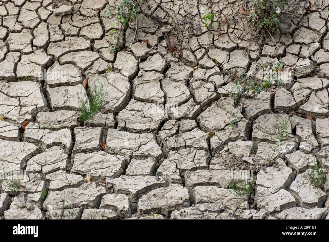 Dry cracked soil Stock Photo - Alamy