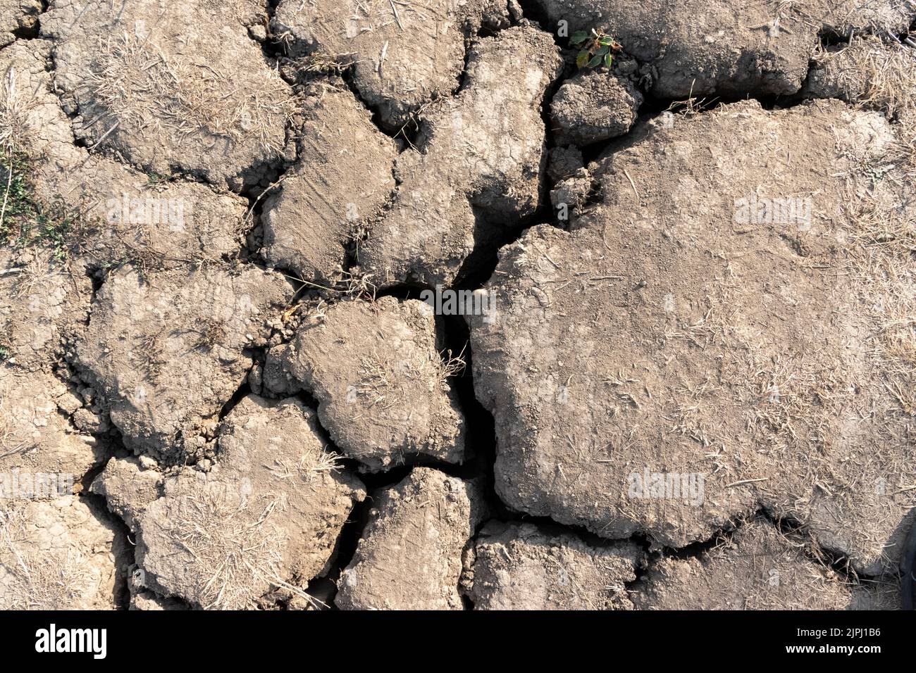 Dry cracked soil Stock Photo - Alamy