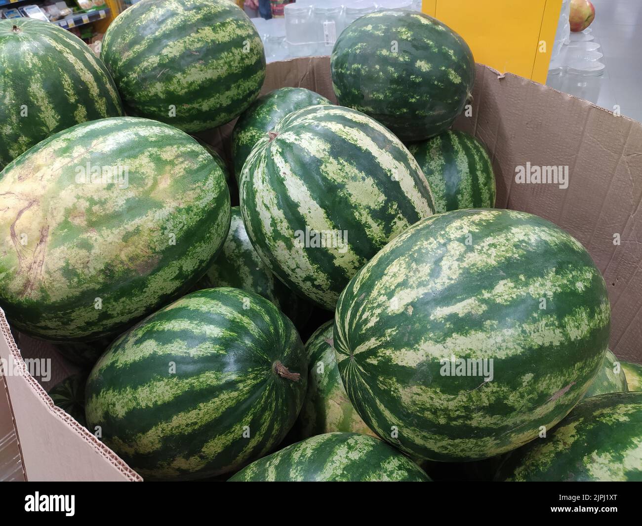 Russia. Saint Petersburg and Leningrad region. Everyday life of St ...