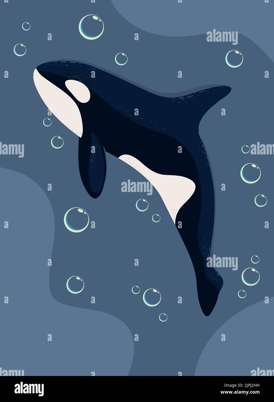 orca whale with bubbles sea Stock Vector Image & Art - Alamy