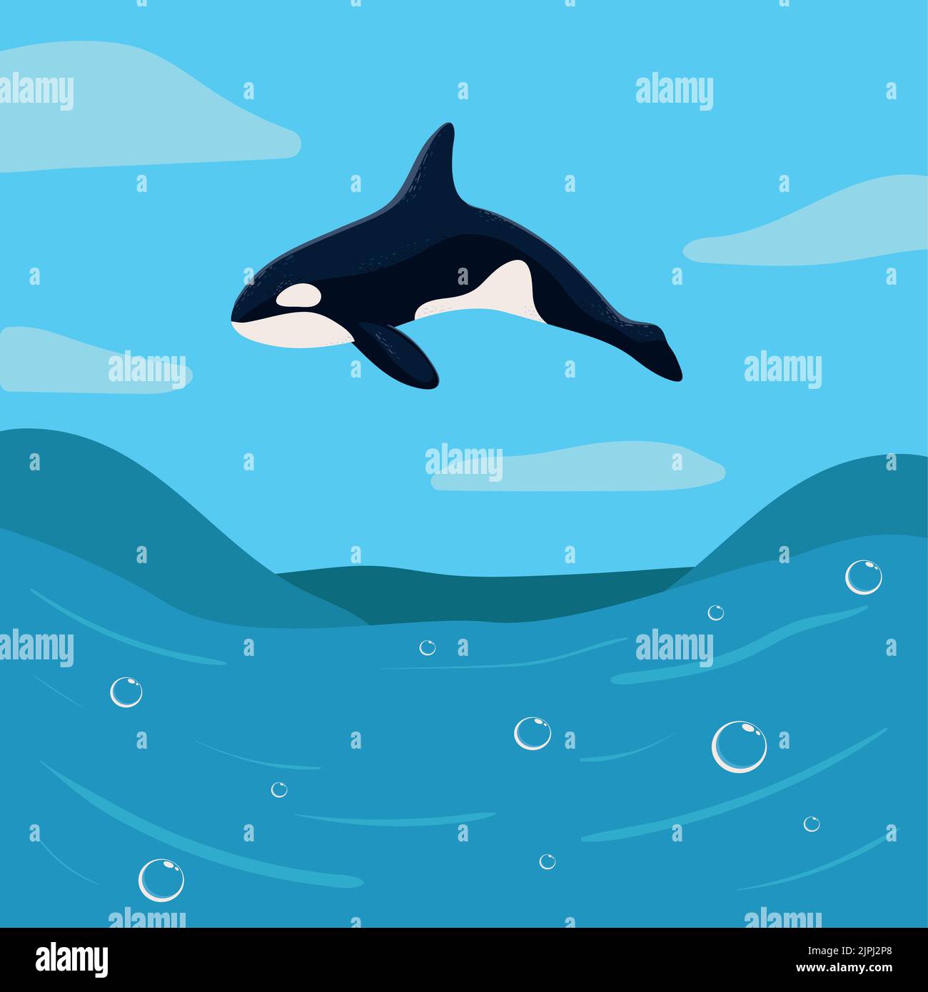 orca whale on ocean Stock Vector Image & Art - Alamy