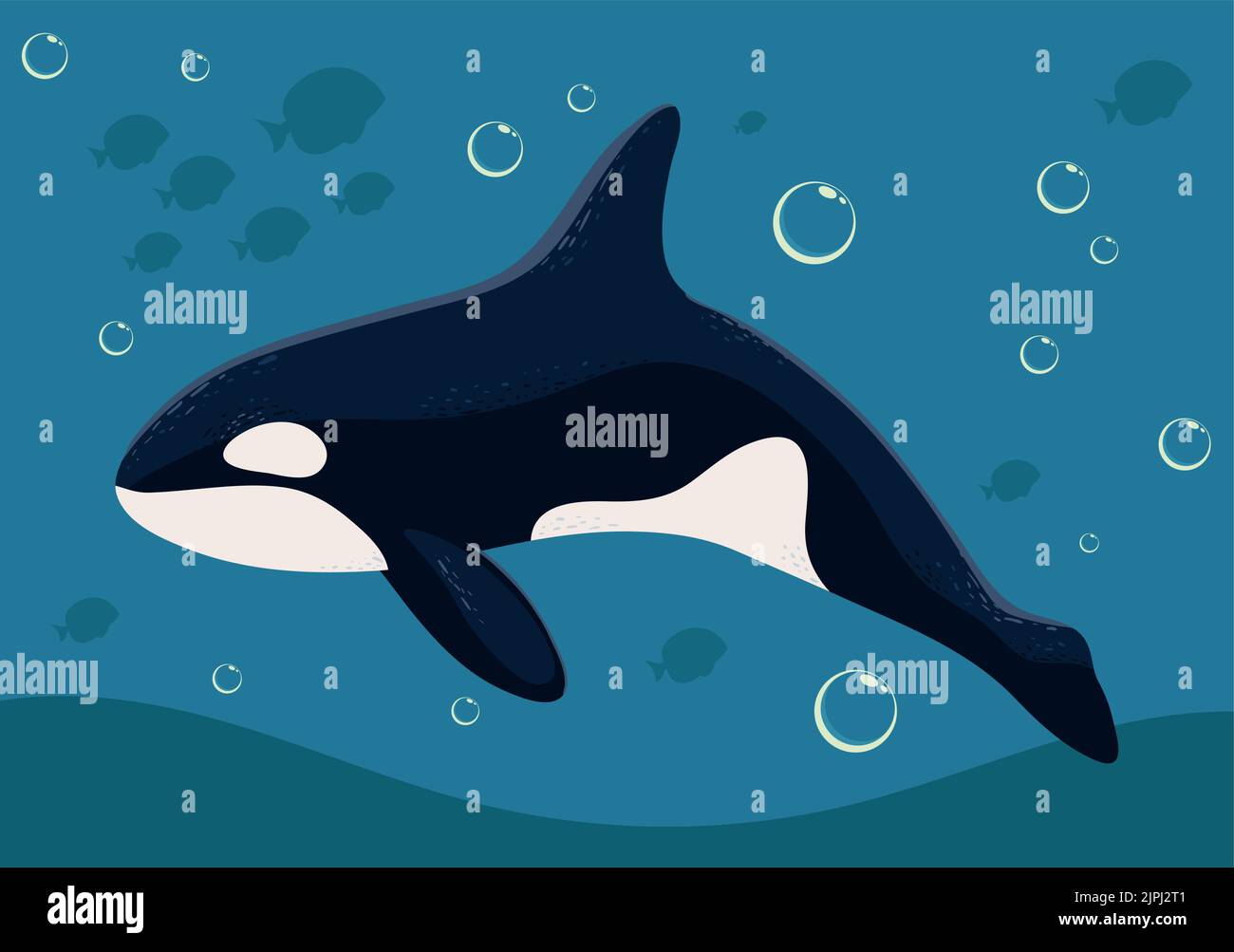 orca whale marine life Stock Vector Image & Art - Alamy
