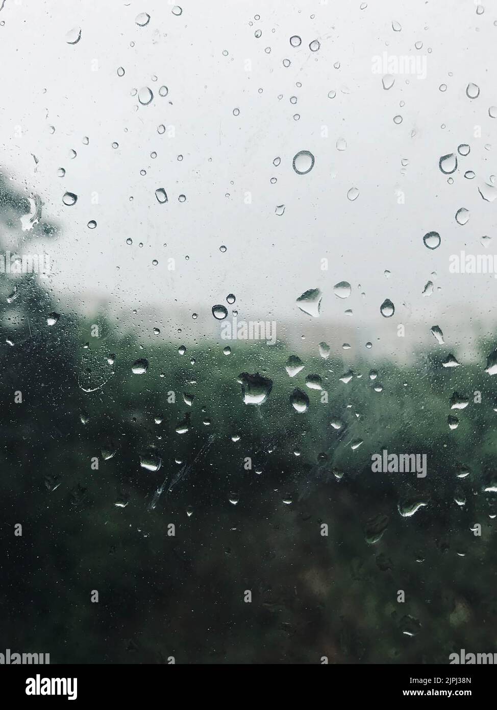 A closeup of rain droplets on a window facing the green trees Stock ...