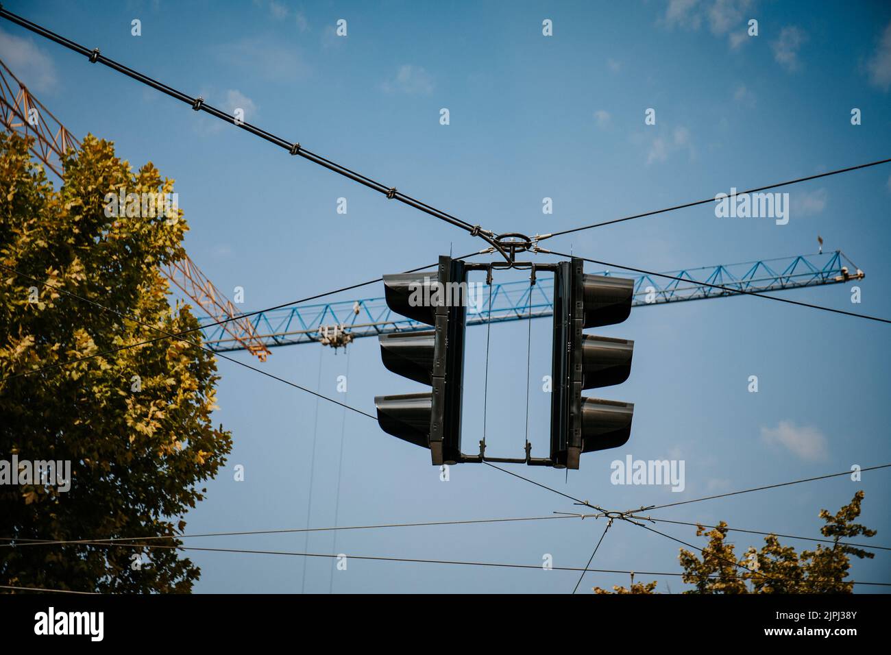 A traffic light hanging on the street against the blue sky and trees ...