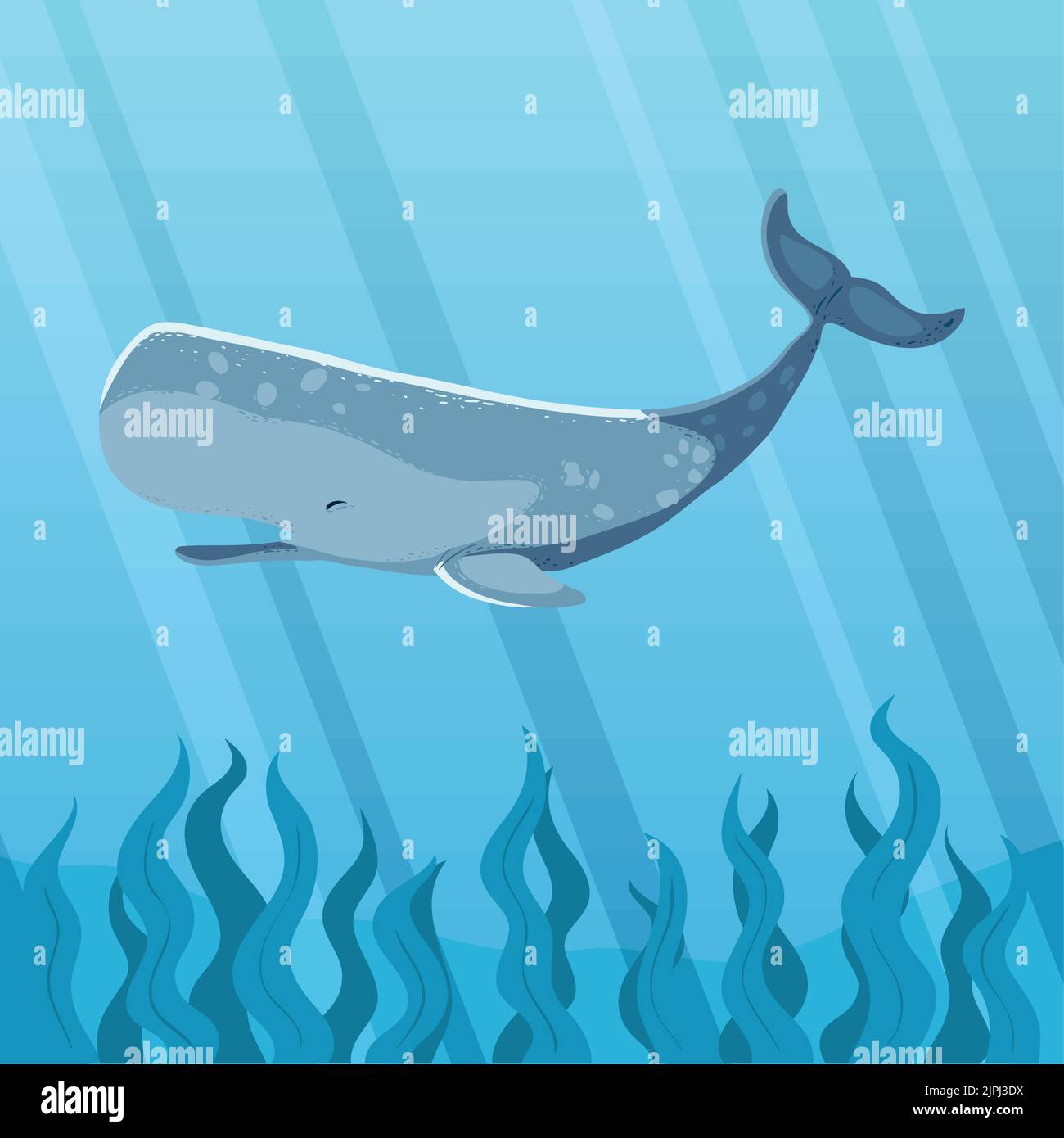 sperm whale in the surface sea Stock Vector Image & Art - Alamy