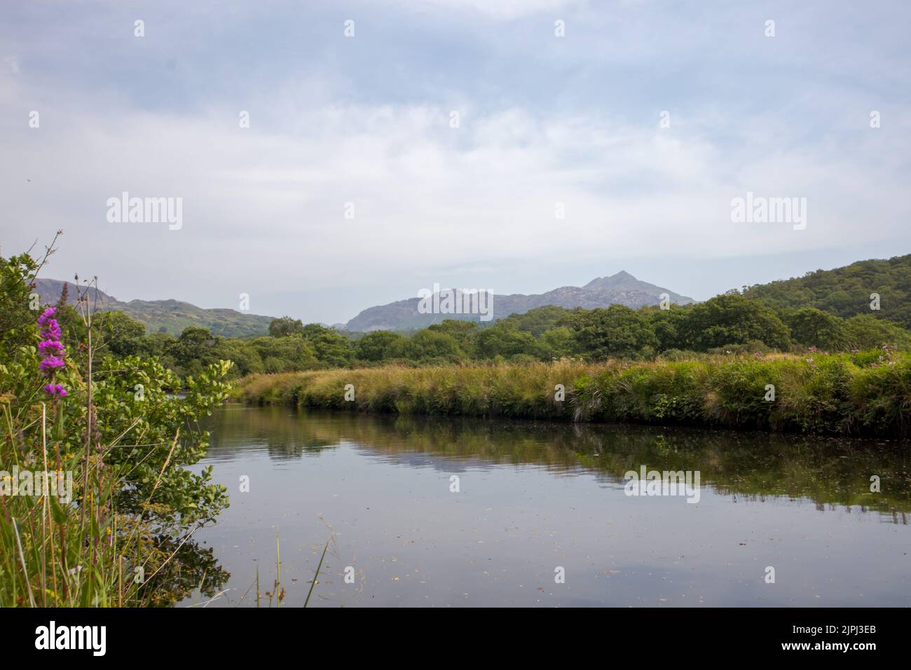 A scenic view of a river flowing through the mountain forests in ...