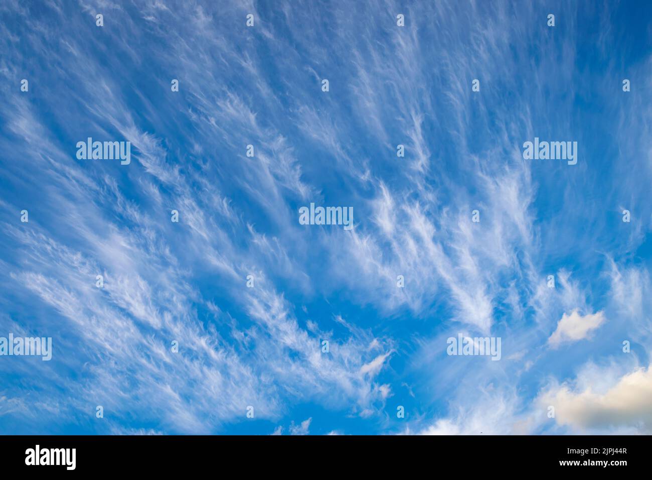 Cirrus intortus or tangled cirrus clouds in the blue sky. Suitable as ...