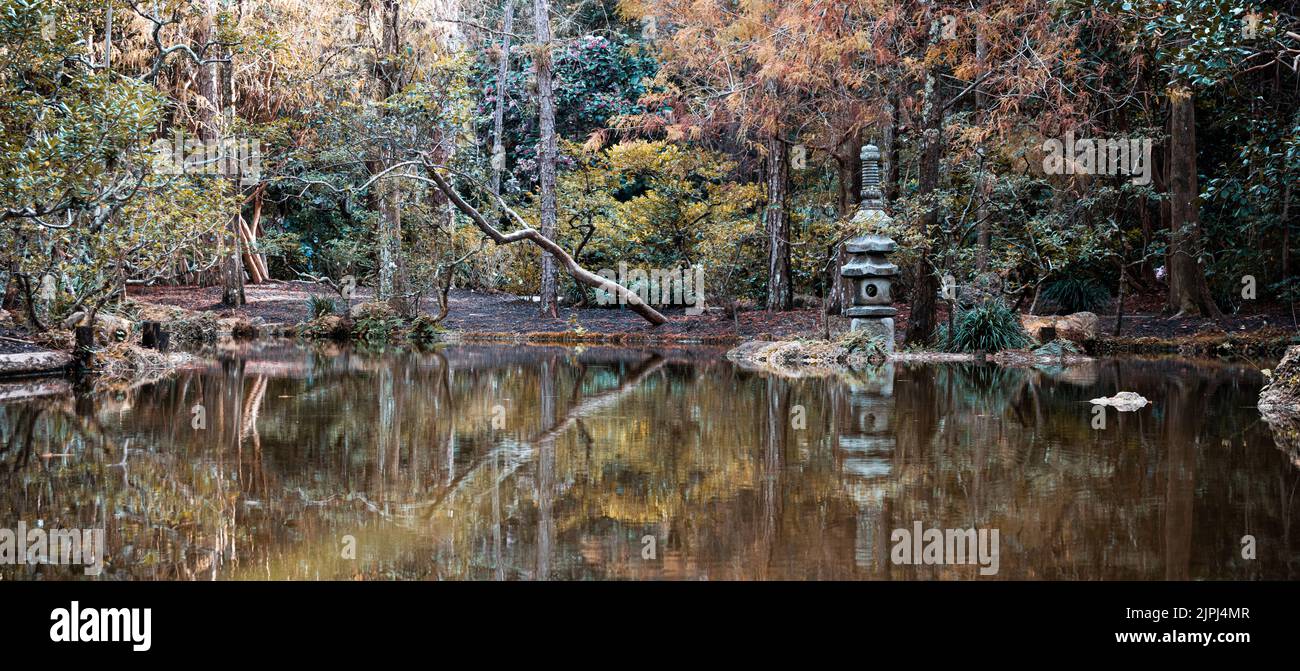 A panoramic landscape of a pond at the Morikami Japanese Gardens in ...