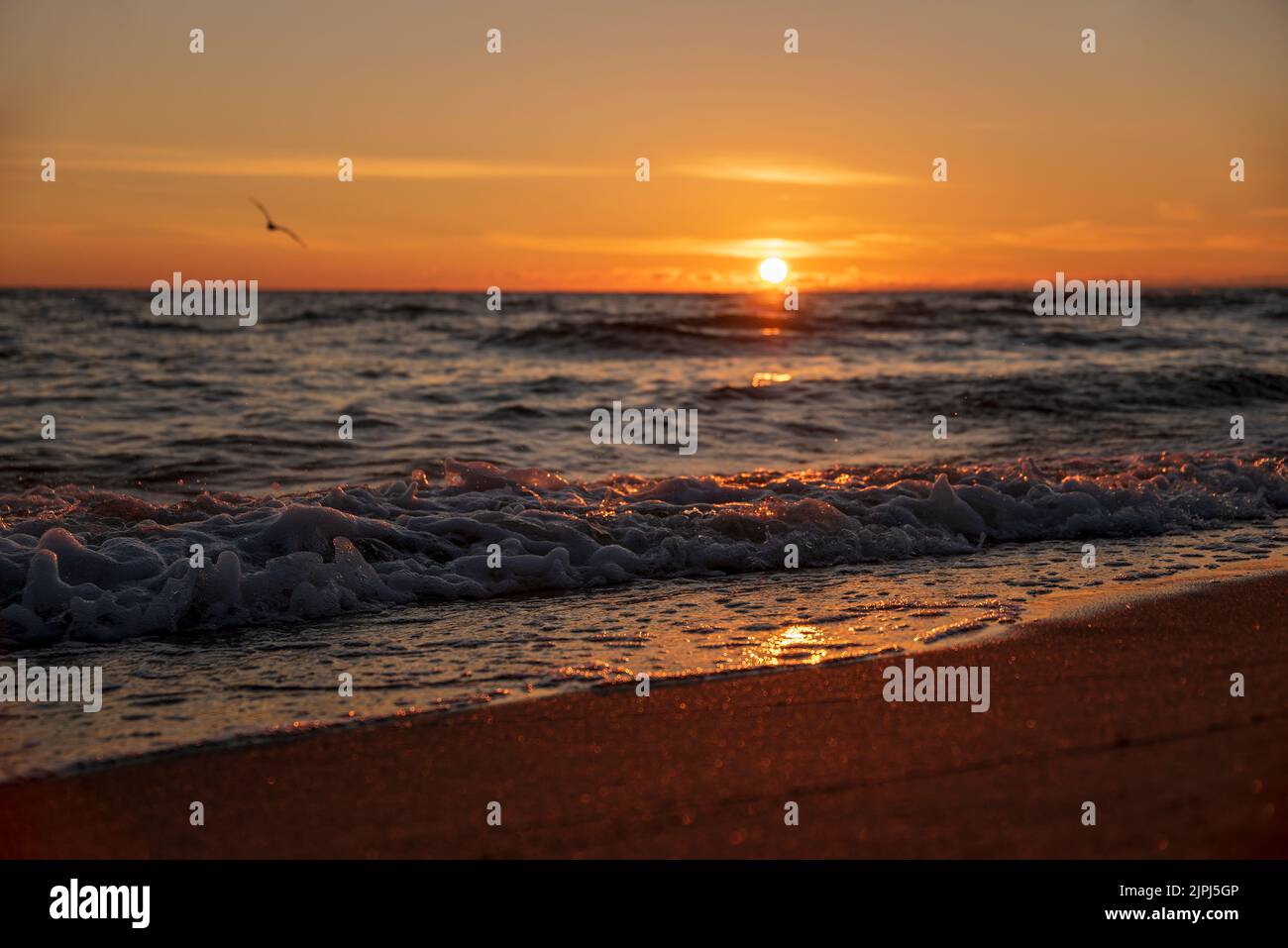 Landscape photography of sunset, beach, sea, wave Stock Photo - Alamy