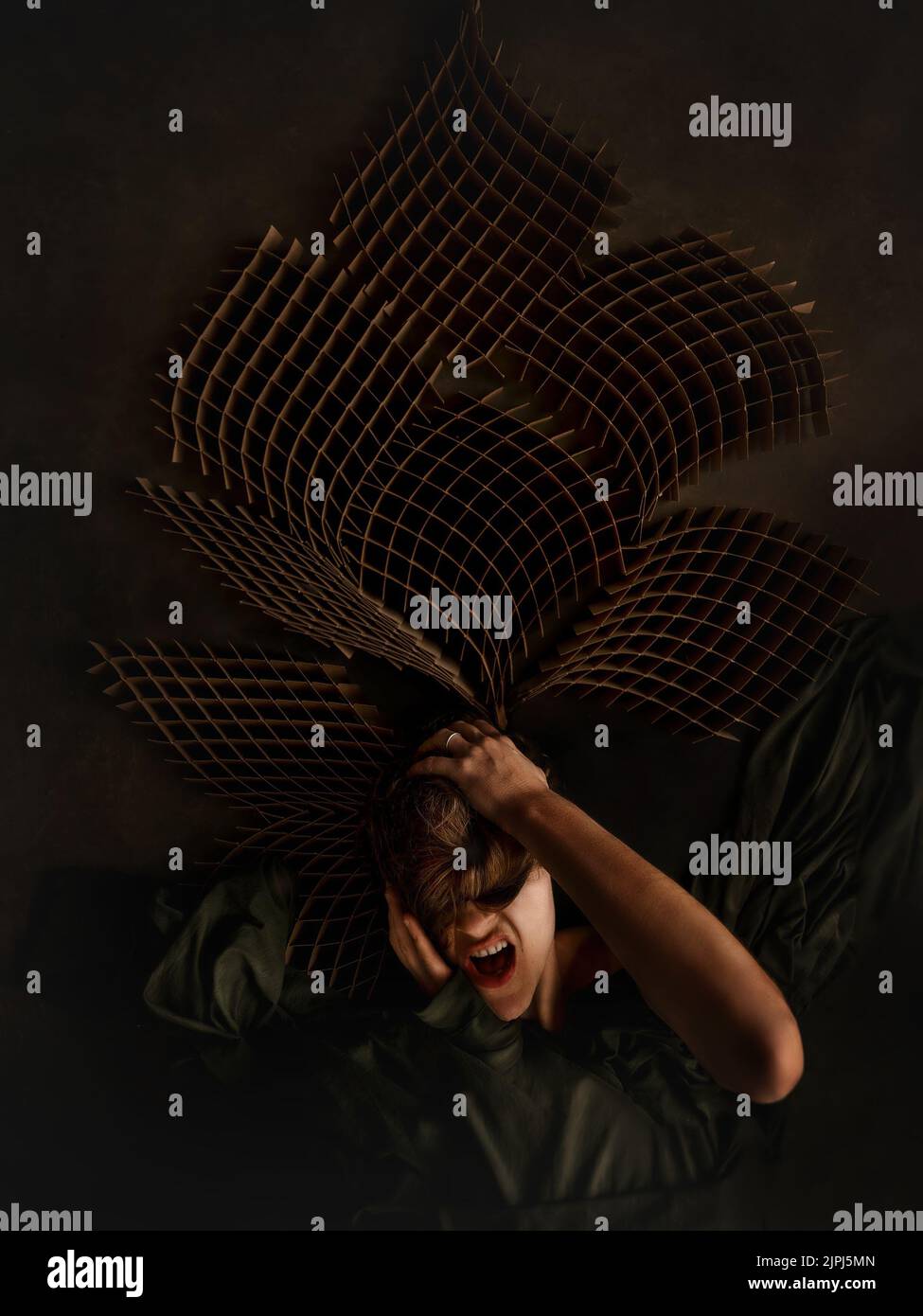 A portrait of a dramatic miserable woman holding her head and screaming ...