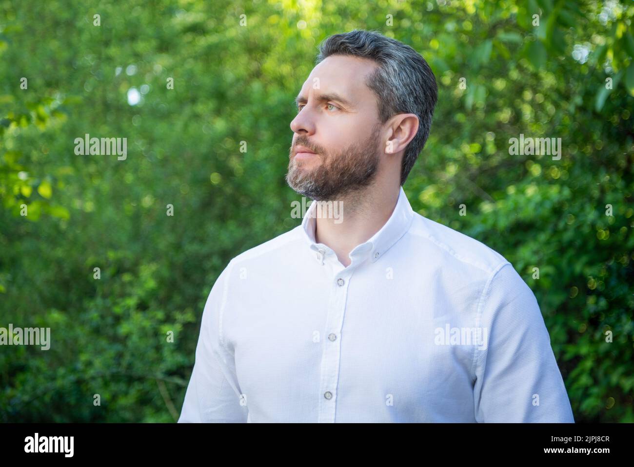 Handsome businessman man looking aside natural background Stock Photo ...