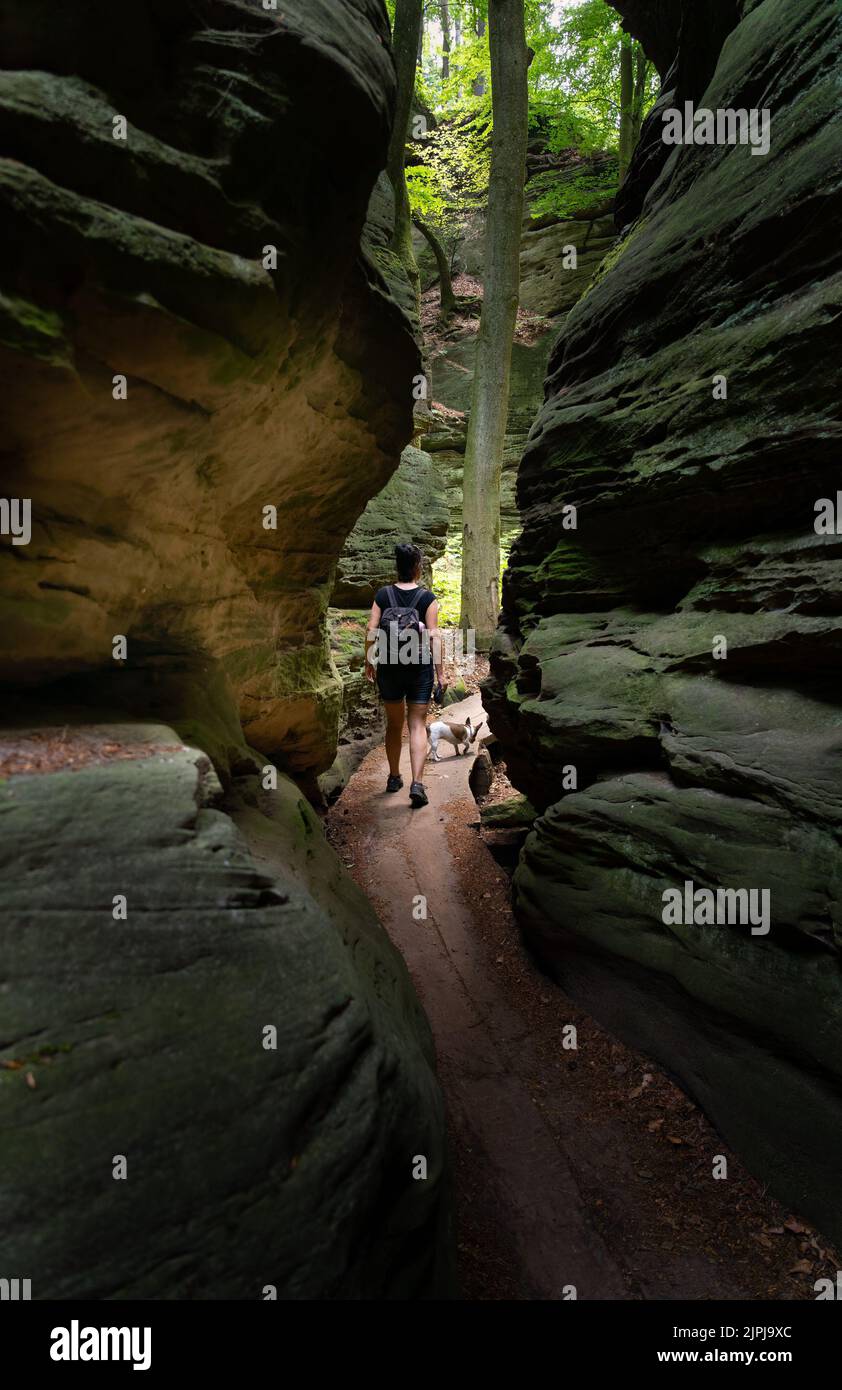 A vertical back view of woman with backpack hiking along a trail with a ...