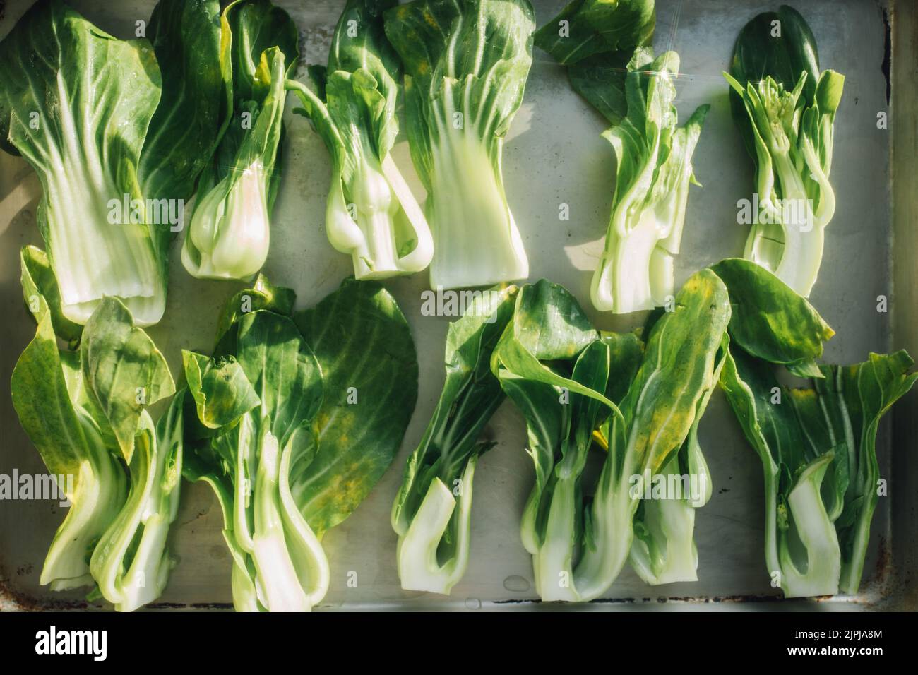 cut baby bok choi ready to roast on sheet pan Stock Photo - Alamy